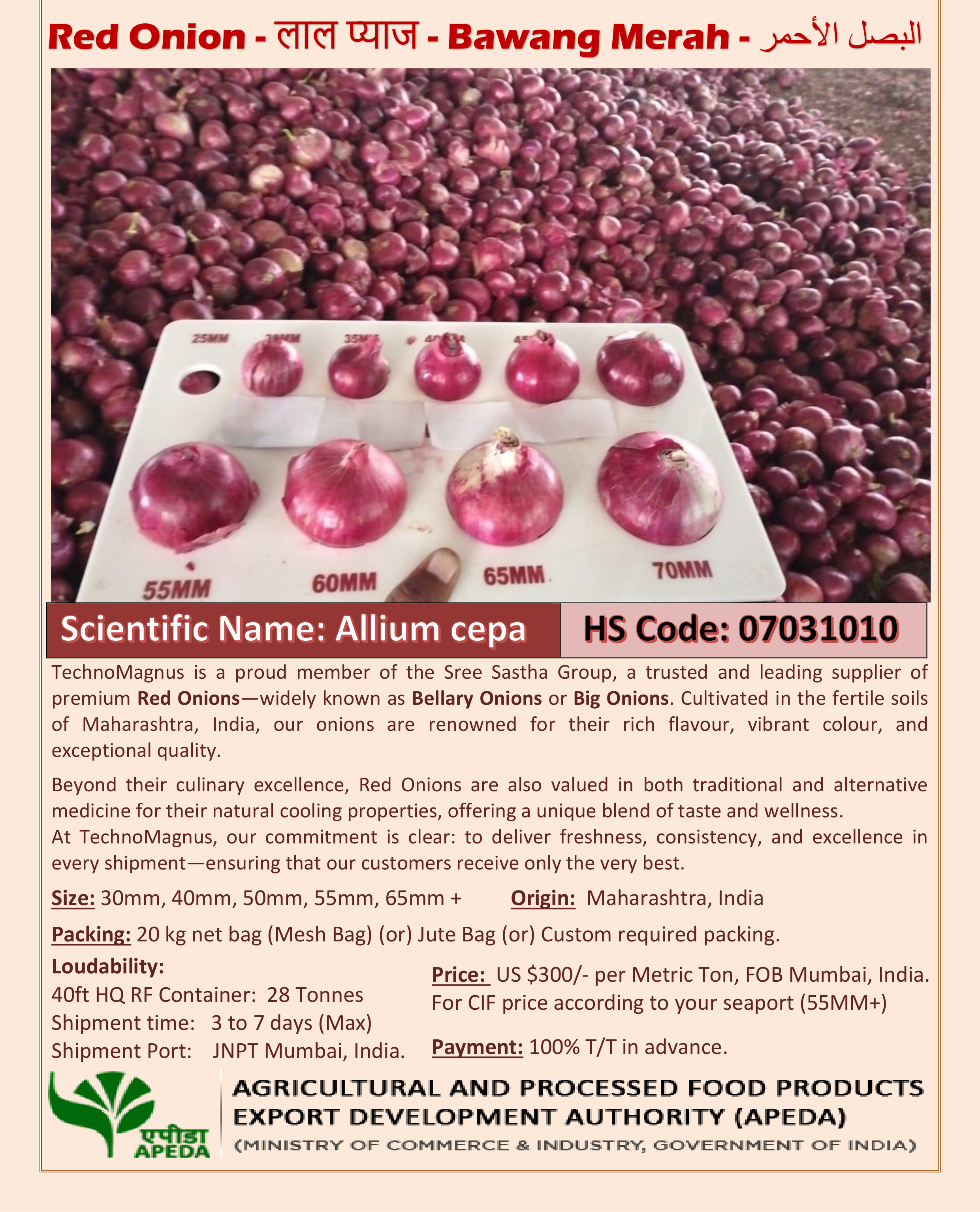Buy Red Onion from Royal Gulf International, India | Tradewheel.com