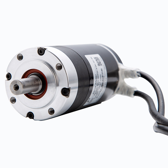 Buy 12n.m Dc24v Continuous Rated Torque0.32n.m Drive Dcmotor 24v 100w ...