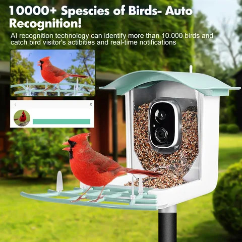 Buy Ai Identify Birds Species Smart Birds Camera Solar Powered Smart ...