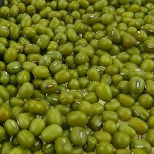 Buy Green Mung Beans Ethiopia from AS GLOBAL LLC, China | Tradewheel.com
