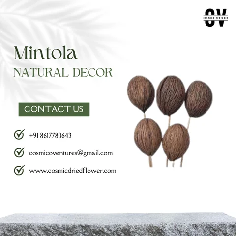 Buy High Quality Artificial Mintola Ball Dried Flower For Home Decor ...