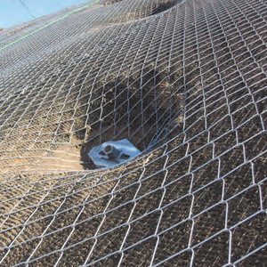 Buy High-tensile Steel Wire Mesh Tecco G65/3 Supplier from Hebei Longen ...