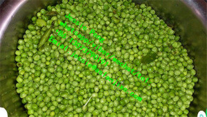 Buy Peas Greensoybean Viner /cajanus Cajan Shelling Machine /electric ...