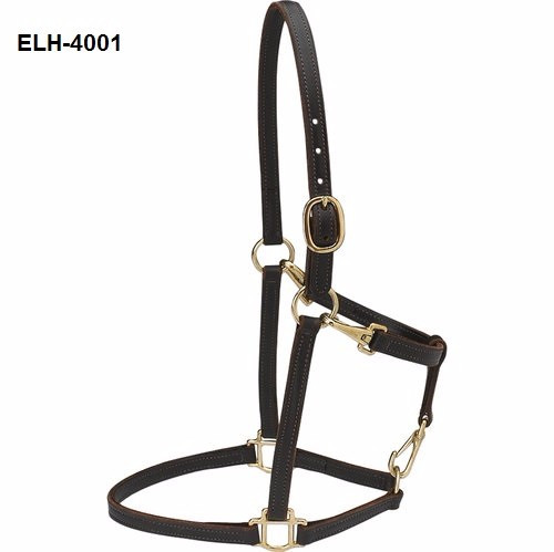 Buy Rainbow Horse Halters Arabian Horse Leather Halter Suppliers from ...