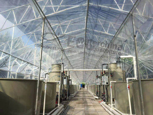 Buy Ras System Aquaculture Pond Ras Farming System, Aquaculture Shrimp ...