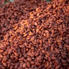 Buy Freshly Dry Cocoa Bean from B. Zamani Marketplace Ltd, Nigeria ...
