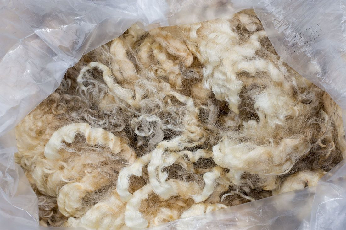 Buy Raw Wool from Minnes Resources Berhas, Malaysia | Tradewheel.com