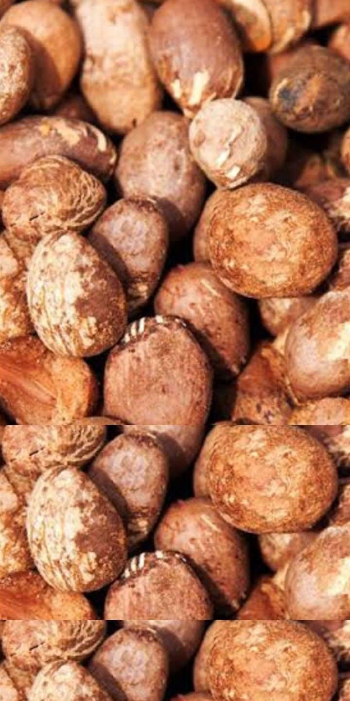 Buy Shea Nut from Fanbuz integrated concept unique limited, Nigeria ...