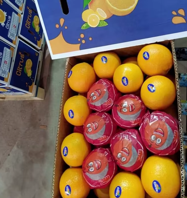 Buy Fresh Orange Naval Orange Sweet Arange from Landove International ...