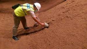 Buy Palm Kernel Expeller Cake Animal Meal, Solvent Extracted Palm ...