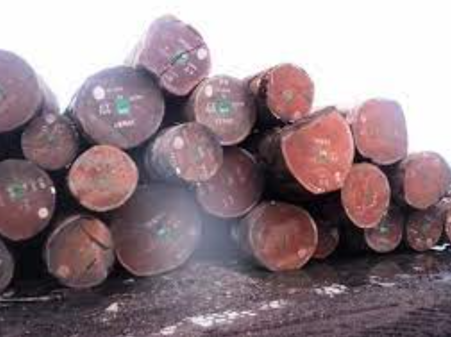 Buy Pine, Hardwood Timber, Teak Wood , Pine Wood Logs, Oak Wood Logs ...