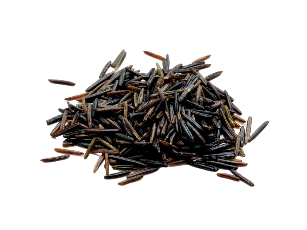 Buy Zizania Aquatica, Quality Wild Rice from Rebel Grains S.r.l., Italy ...
