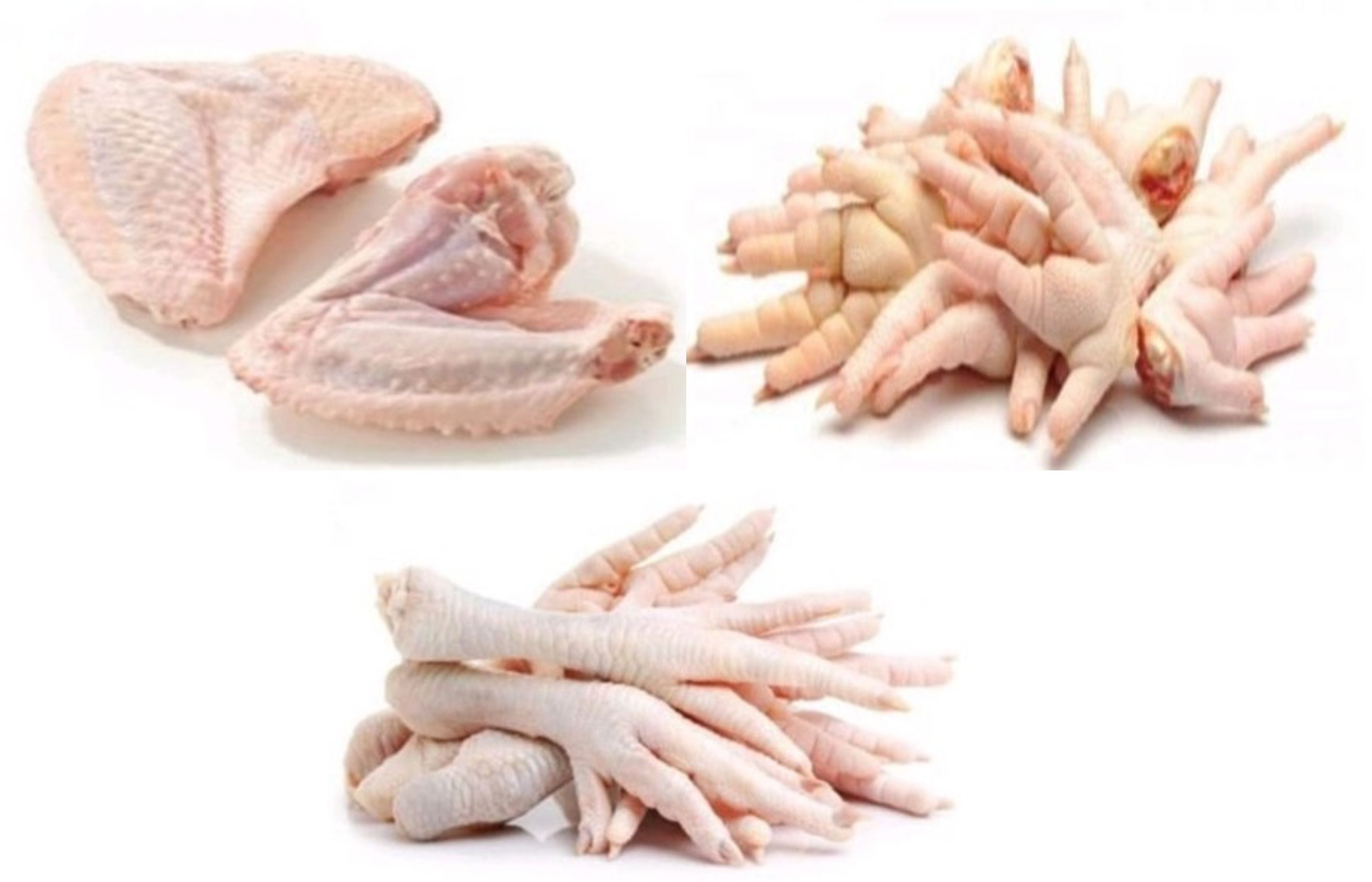 Buy Sales Of Frozen Chicken Grade A from BERRY INTERNATIONAL COMMODITY ...