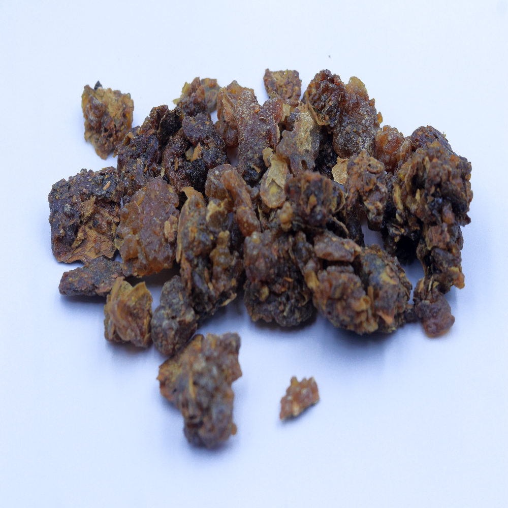 Buy Commiphora Myrrh from XAREED Ganeral Trading, Somalia | Tradewheel.com