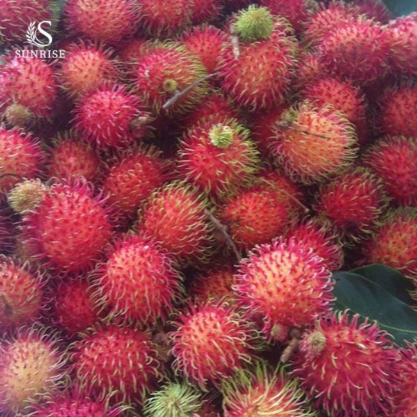Buy Fresh Rambutan from Sunrise INS, Vietnam | Tradewheel.com