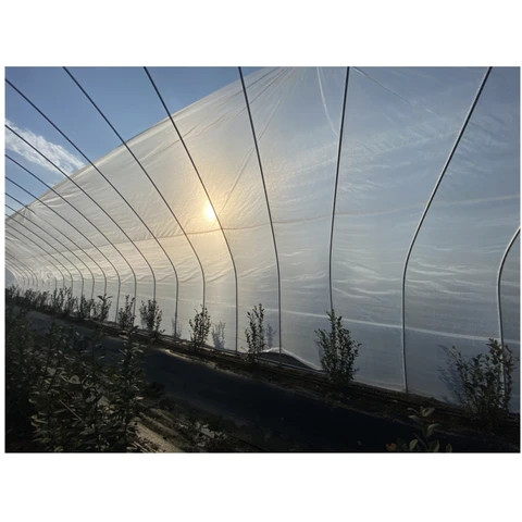 Buy Best Prices Polyethylene Garden Tarps Sheet Transparent Roof Tarp ...