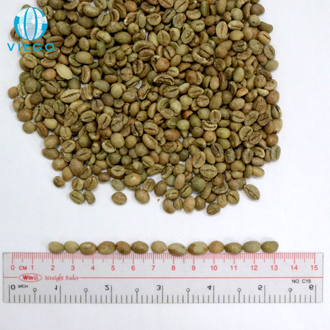 Buy Export Import Robusta Coffee Beans Screen 13 Standard Green Coffee ...