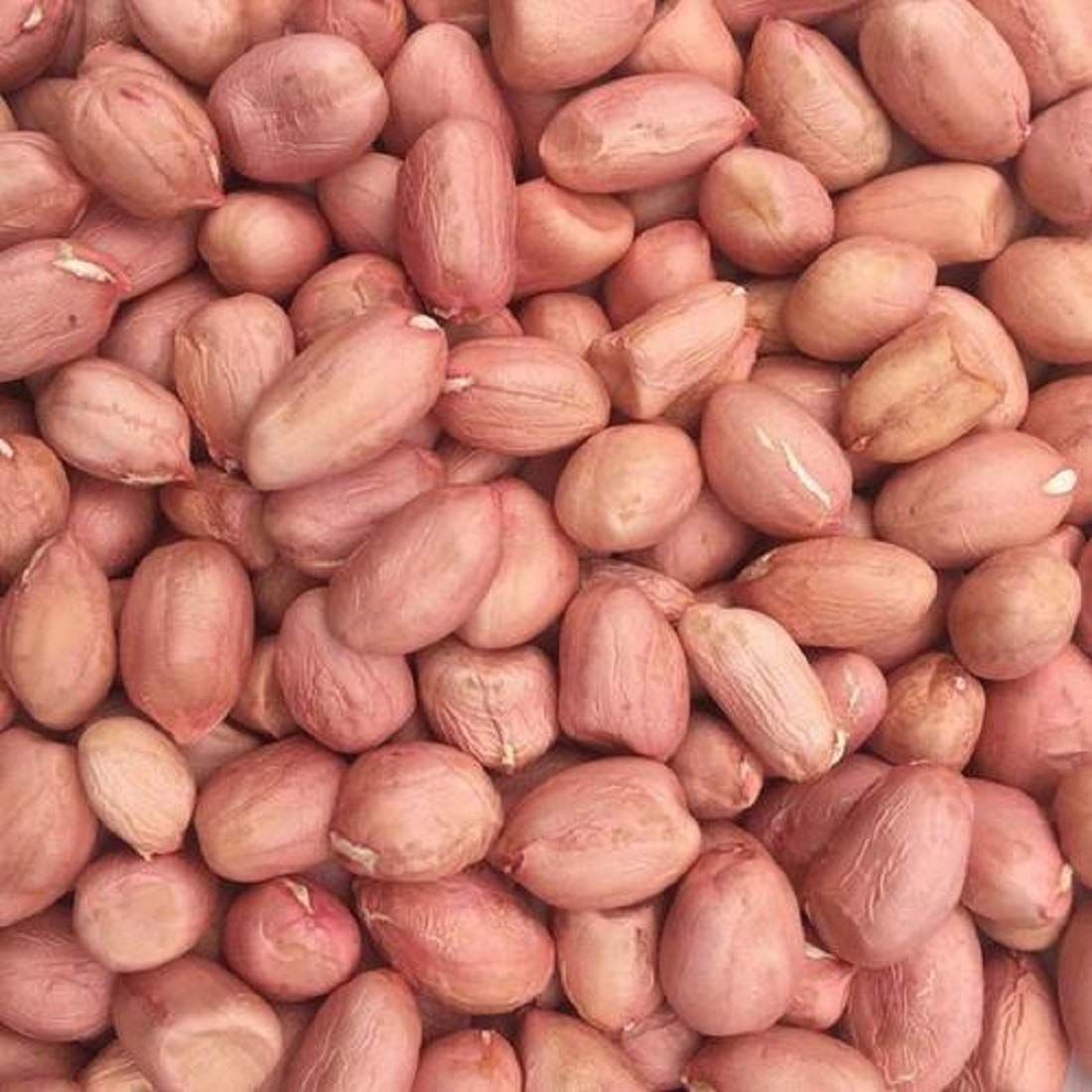 Buy Premium Grade Raw Peanut / Raw Groundnuts / Raw Peanut In Shell For ...