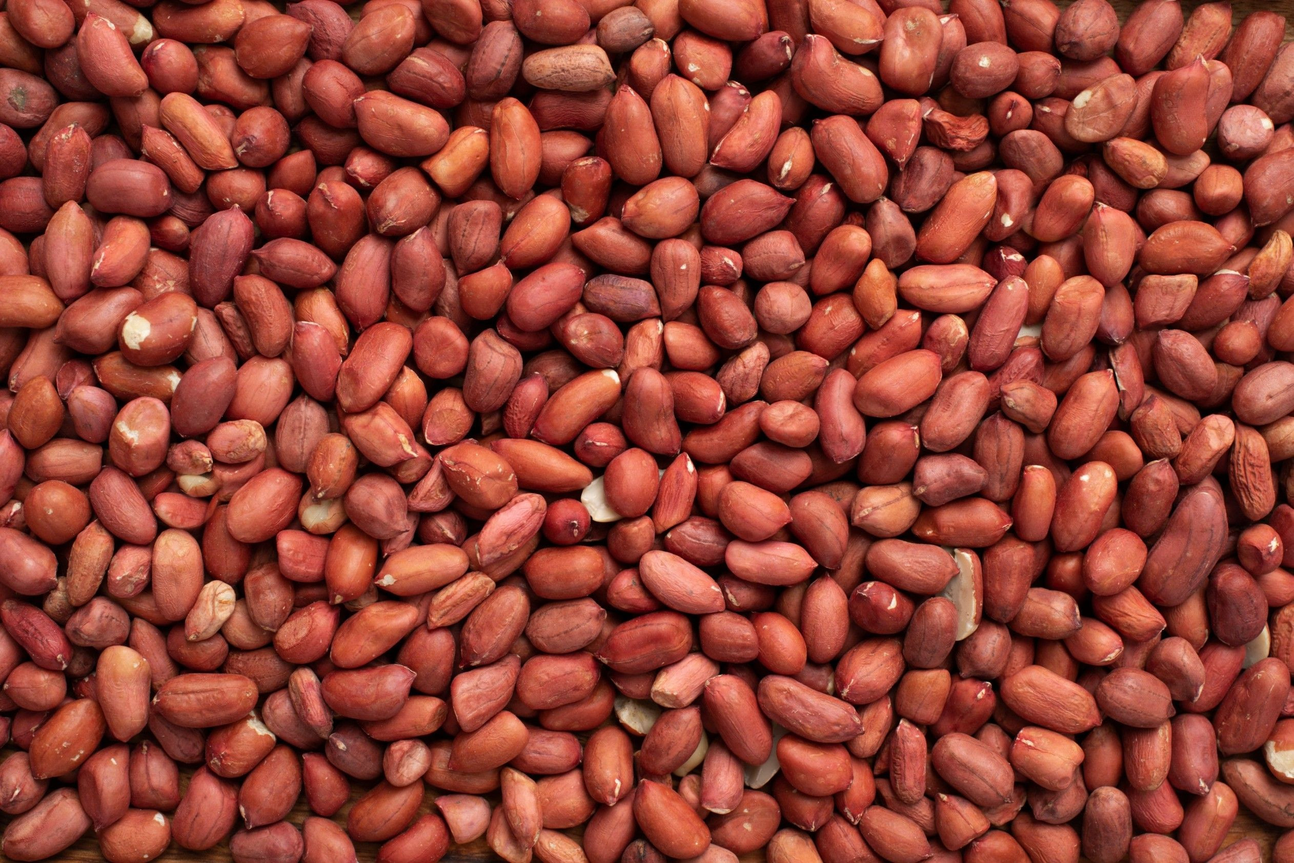 Buy Groundnuts Peanut from PENTASTAR INTERNATIONAL, India | Tradewheel.com