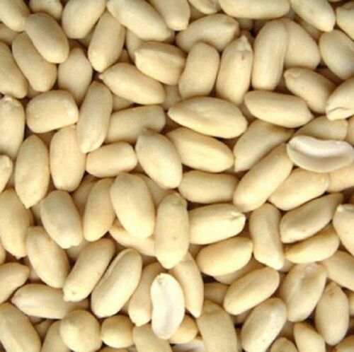 Buy Premium Grade Raw Peanut / Raw Groundnuts / Raw Peanut In Shell For ...