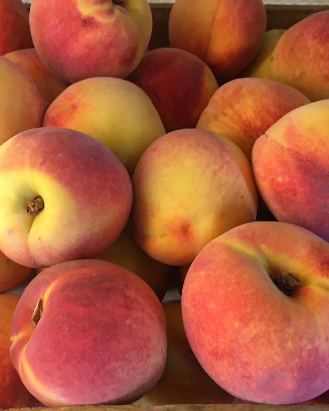 Buy Fresh Apricots, Peaches, Nectarines And Plums from NINE FRUITS ...
