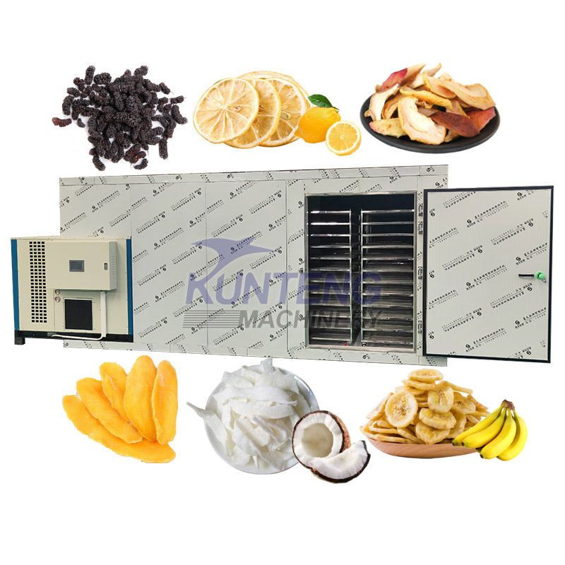 Buy Big Power Industrial Fruit Dehydrator Dryer Dried Fruit Production ...