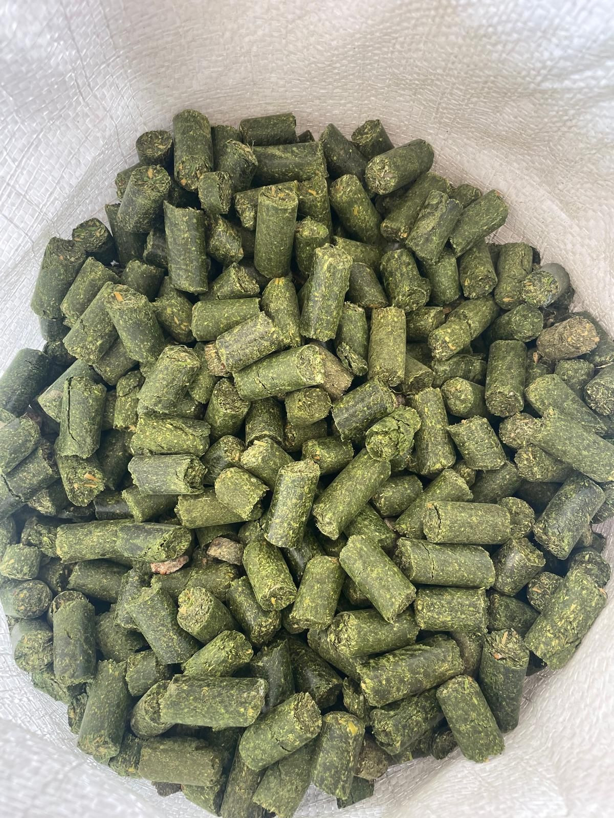 Buy Alfalfa Cubes from Alfa Holding Group Inc, USA | Tradewheel.com