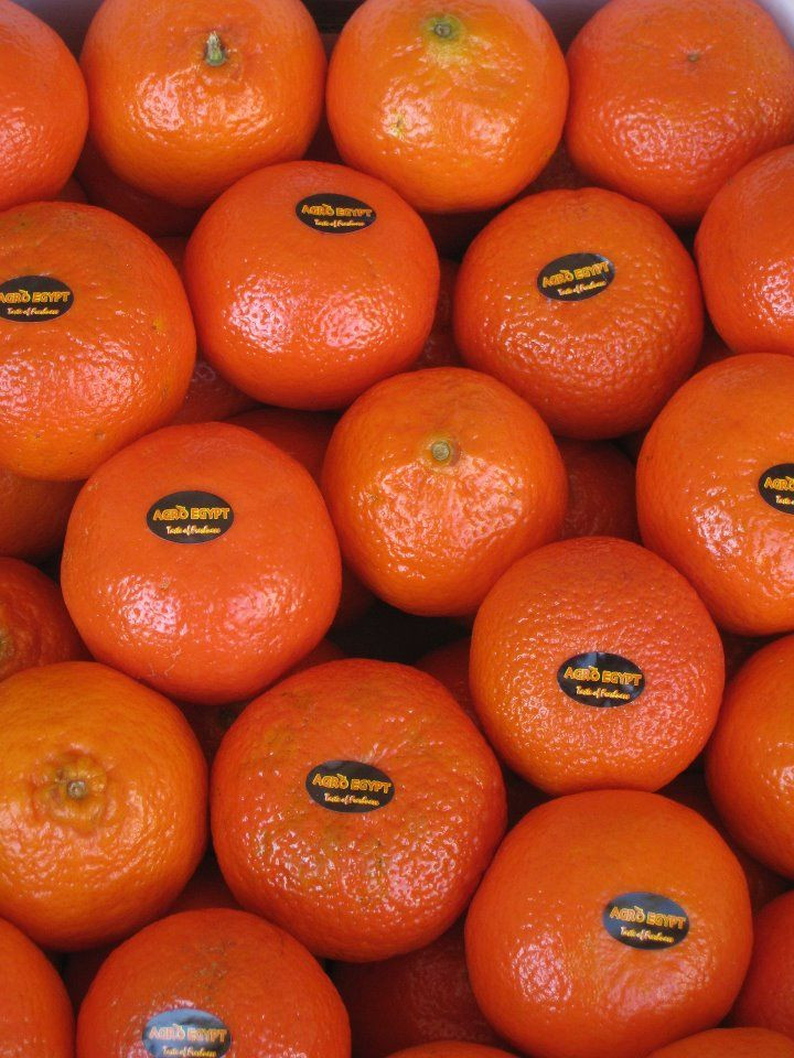 Buy Fresh Mandarin from Green Point for import & export, Egypt ...