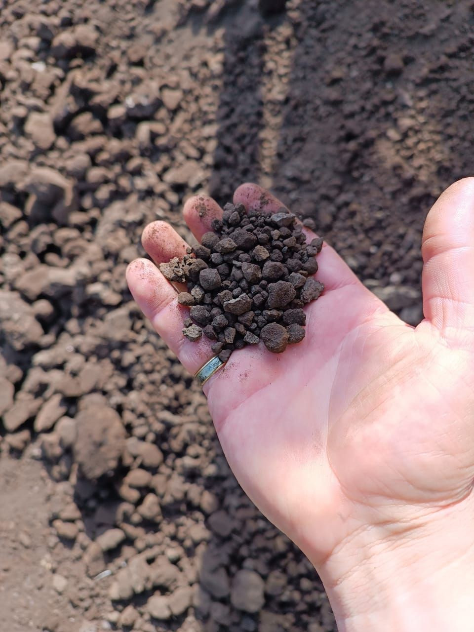 Buy Organic Fertilizer Leonardite from Arial Alliance LLC, Ukraine ...