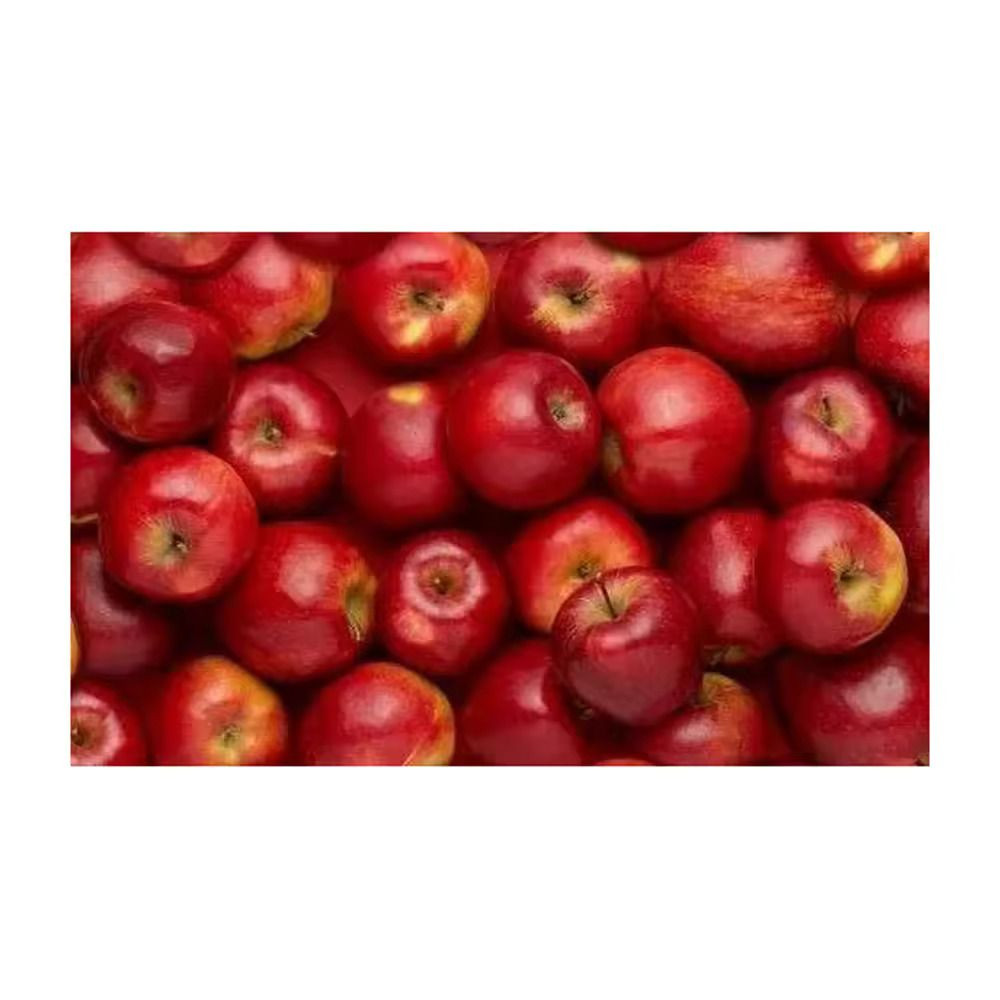 Buy Fresh Apples Fresh Royal Gala Apple from Yiyuan County Everyone ...