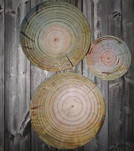 Buy Pine Timber from Cape Reed Fireshield LLC, United Arab Emirates ...