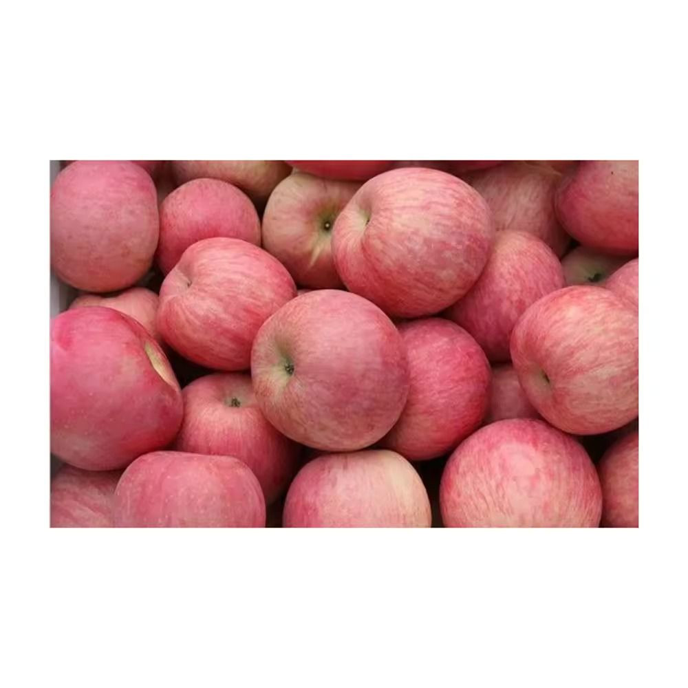 Buy Fresh Apples Fresh Royal Gala Apple from Yiyuan County Everyone ...