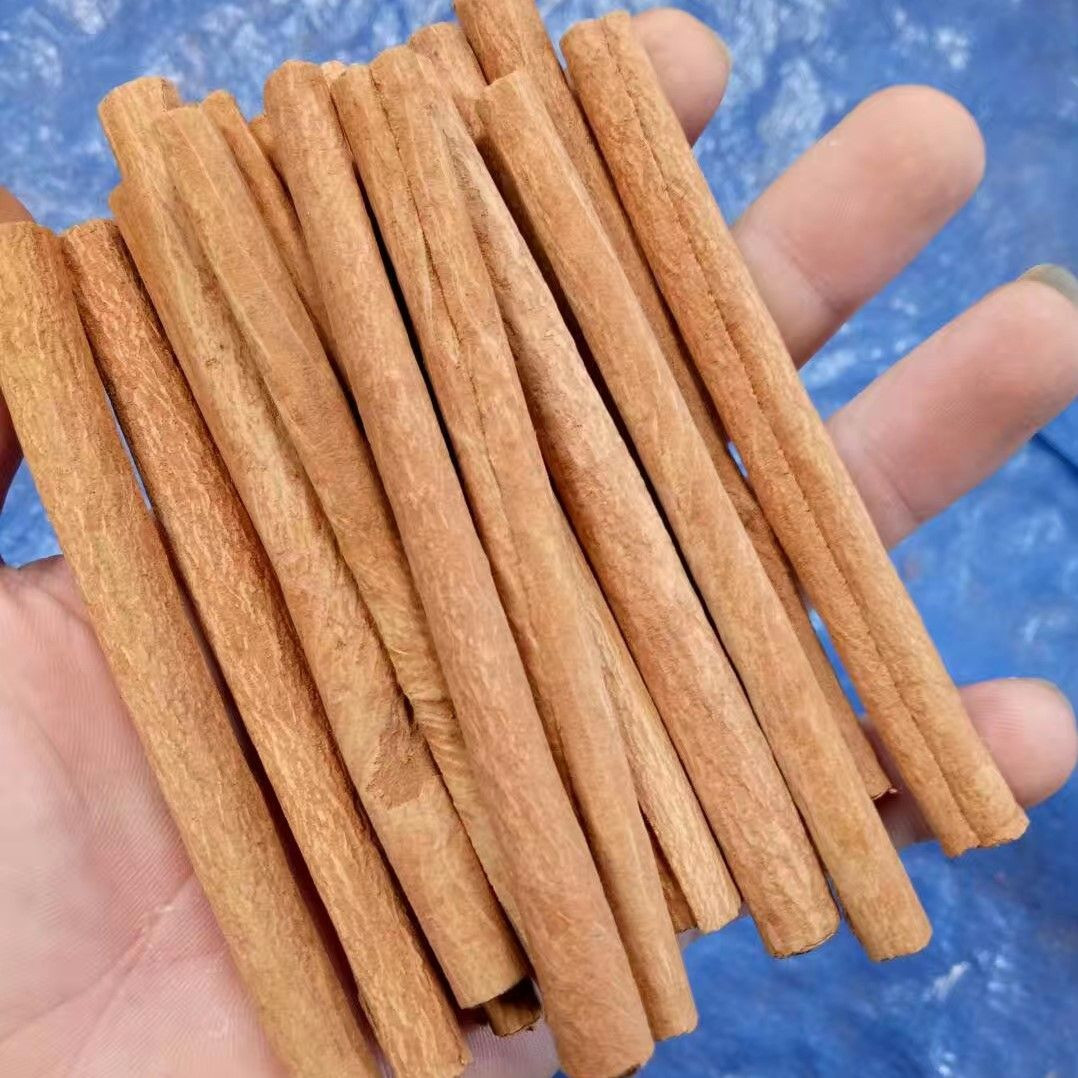 Buy Finger Cassia (cigarette Cassia) from Cinnamon in Vietnam, Vietnam ...