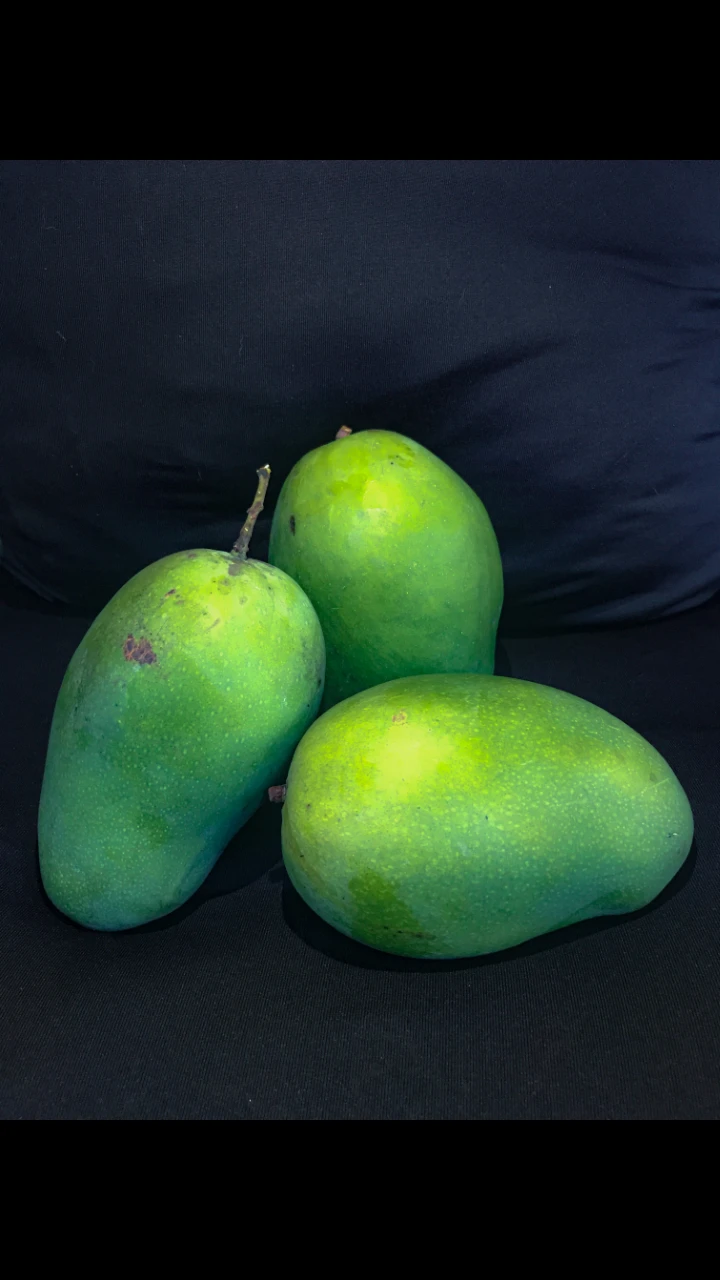 Buy Harum Manis Mangoes from Sawanda Bali, Indonesia | Tradewheel.com
