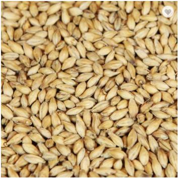Buy Barley For Malt, Barley Feed, Malted Barley Animal Feed from ...