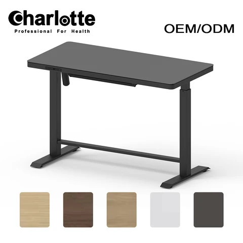 Buy Dual Motor Foldable Standing Desk Modern Revolving Height ...