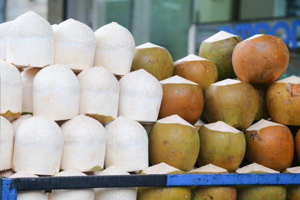 Buy Fesh Coconuts From Vietnam from VIETGO COMPANY LIMITED, Vietnam ...