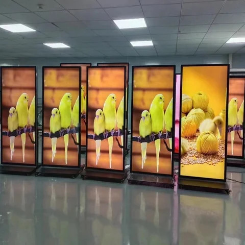 Buy Floor Standing Led Mirror Screen Digital Signage Display Led Poster ...
