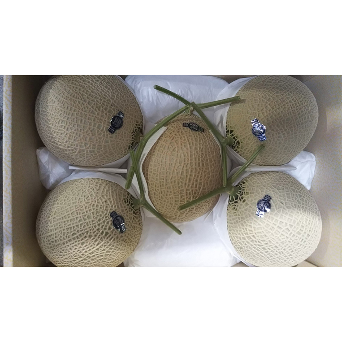 Buy Japanese Mellow Aroma Melting Texture Fruit Imported Japan Fruit ...