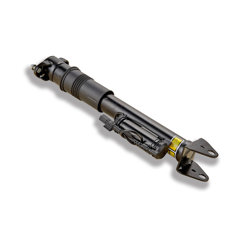 Buy Oe A2513201031 Rear Shock Absorber Suspension System Auto Shock ...