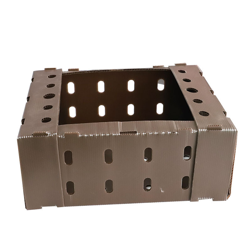 Buy Pp Plastic Okra Box Corflute Packaging Box from Shandong Runping ...