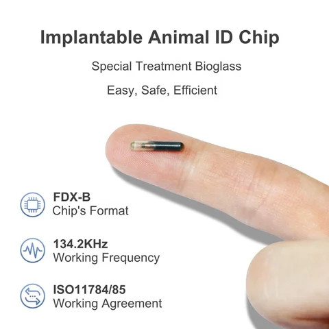 Buy Rfid Animal Id Chip Microchip Implantable Syringe For Livestock ...