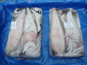 Buy Squid Semi Needle from AMAZE SEAFOOD TRADE, India | Tradewheel.com