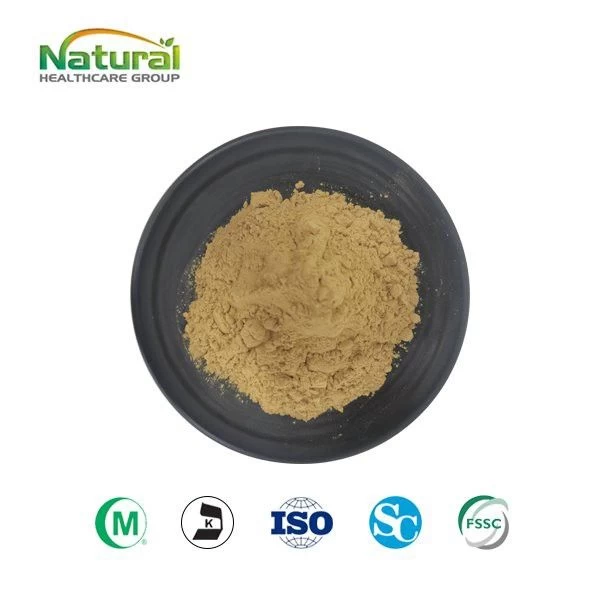 Buy Yucca Root Extract from Xi'an DN Biology Co.,Ltd, China ...