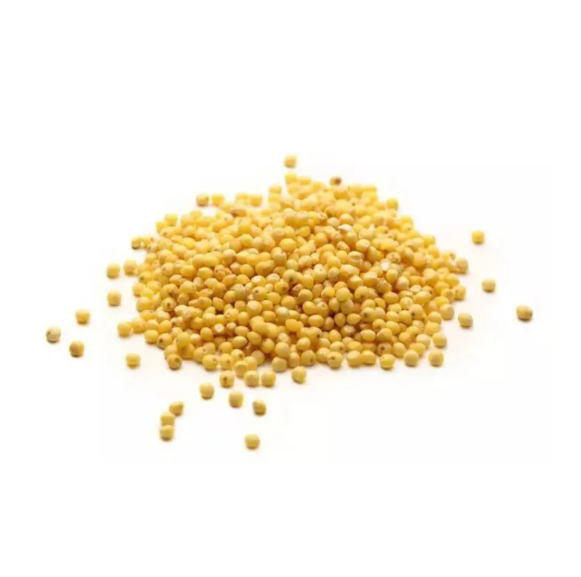 Buy Crop Grain Dried Hulled Yellow Millet For Bird Feed from Vinit ...