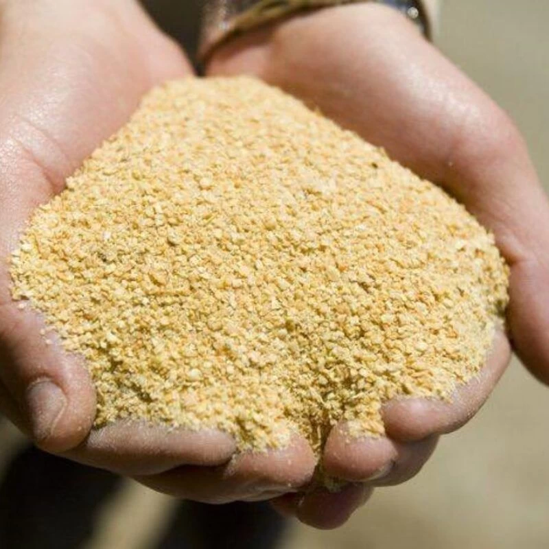 Buy Soybean Meal - Gmo In Wholesale from Guesbeogo Commodities Inc., Canada | Tradewheel.com
