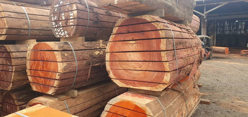 Buy Solid Wood Timber from GCBC, United Arab Emirates | Tradewheel.com