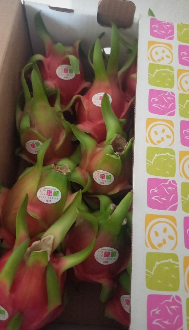 Buy Pitahaya, Pitaya, Dragonfruit, Dragon Fruit from Megafruits, Ecuador | Tradewheel.com