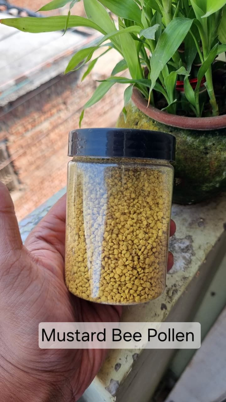 Buy Raw Mustard Bee Pollen – Bulk Export Supply from House Of Bharat ...