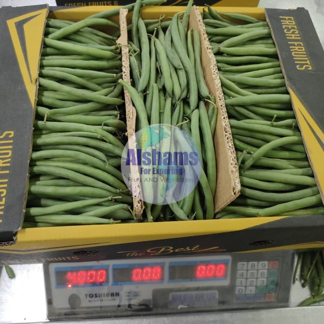Buy Green Beans from Al Shams Company, Egypt | Tradewheel.com